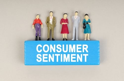 CONSUMER SENTIMENT FALLS TO ANOTHER RECORD LOW - Trends Journal